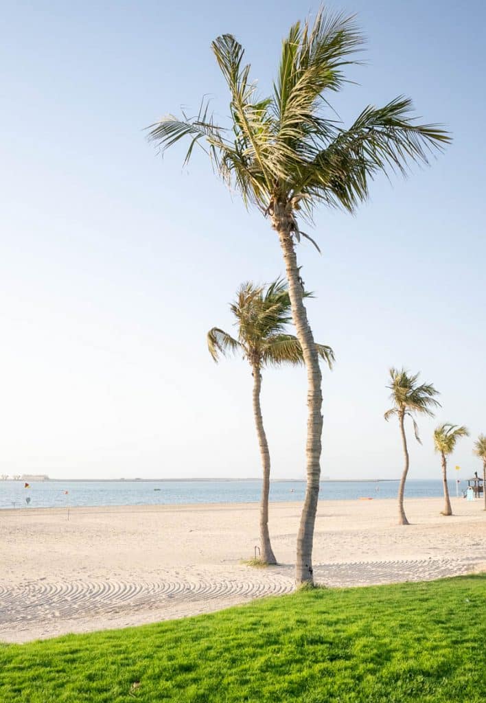 Hotel Review: JA Palm Tree Court (JA The Resort), Dubai